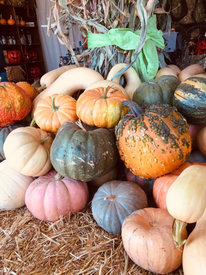Country Farm Fest in Payson is one way to celebrate the Fall break ...